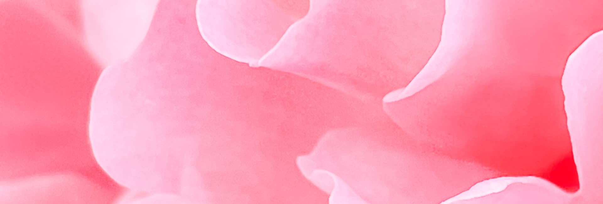 Inolex Product Selector