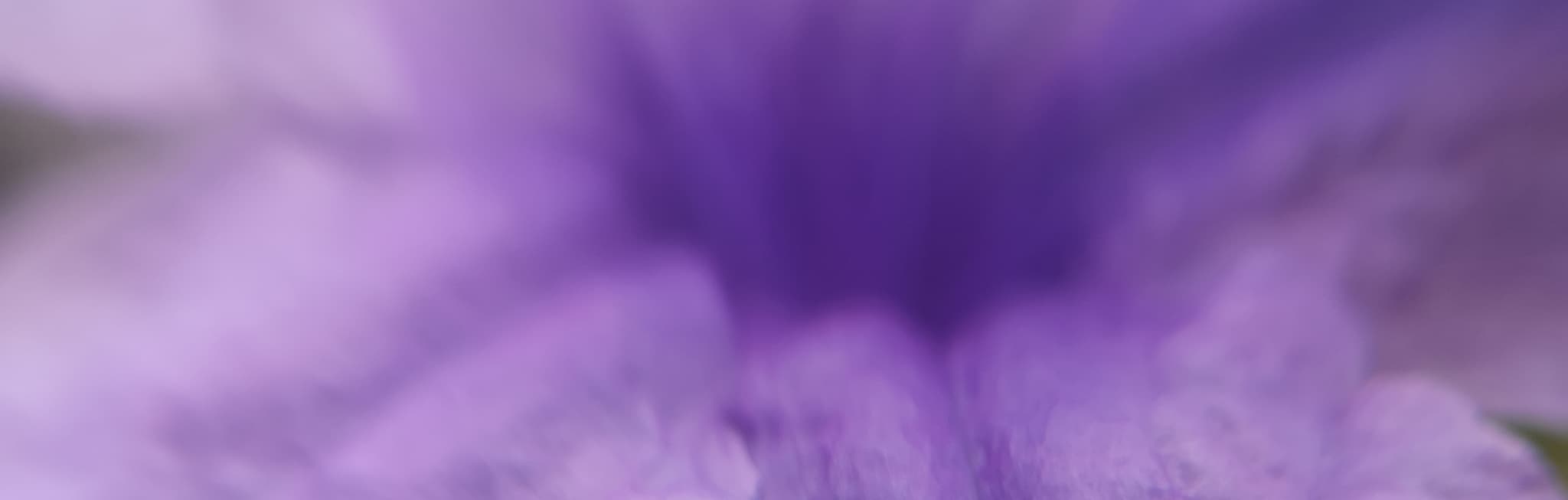 Inolex Product Selector